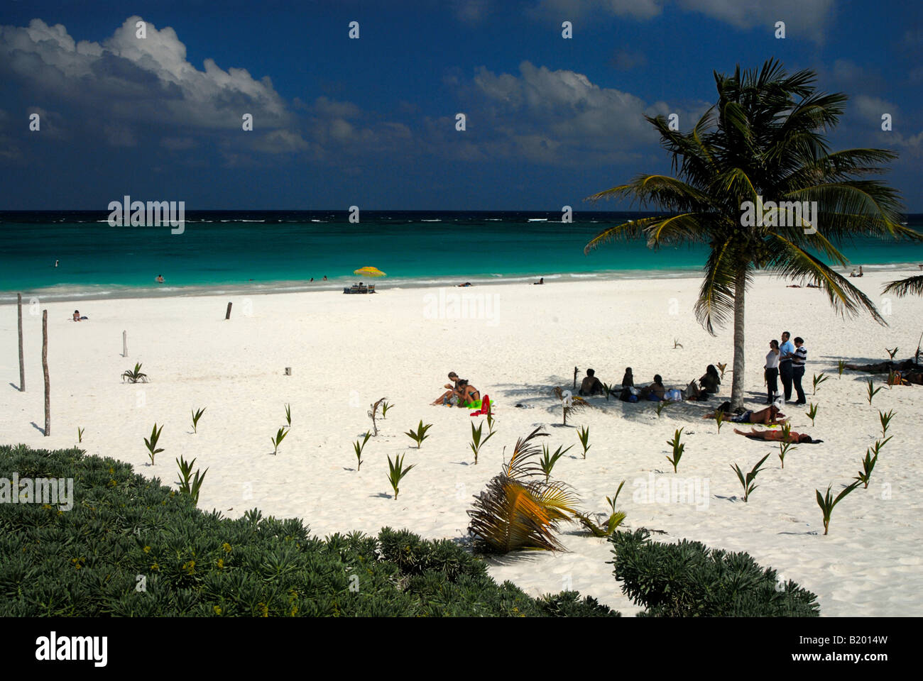 Yucatan peninsular hi-res stock photography and images - Alamy