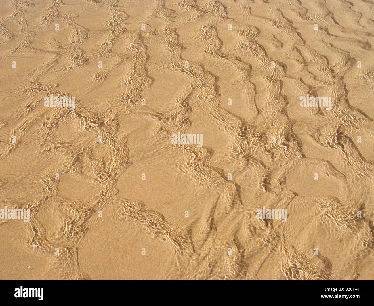 golden sand ripples background texture with shadows Stock Photo - Alamy