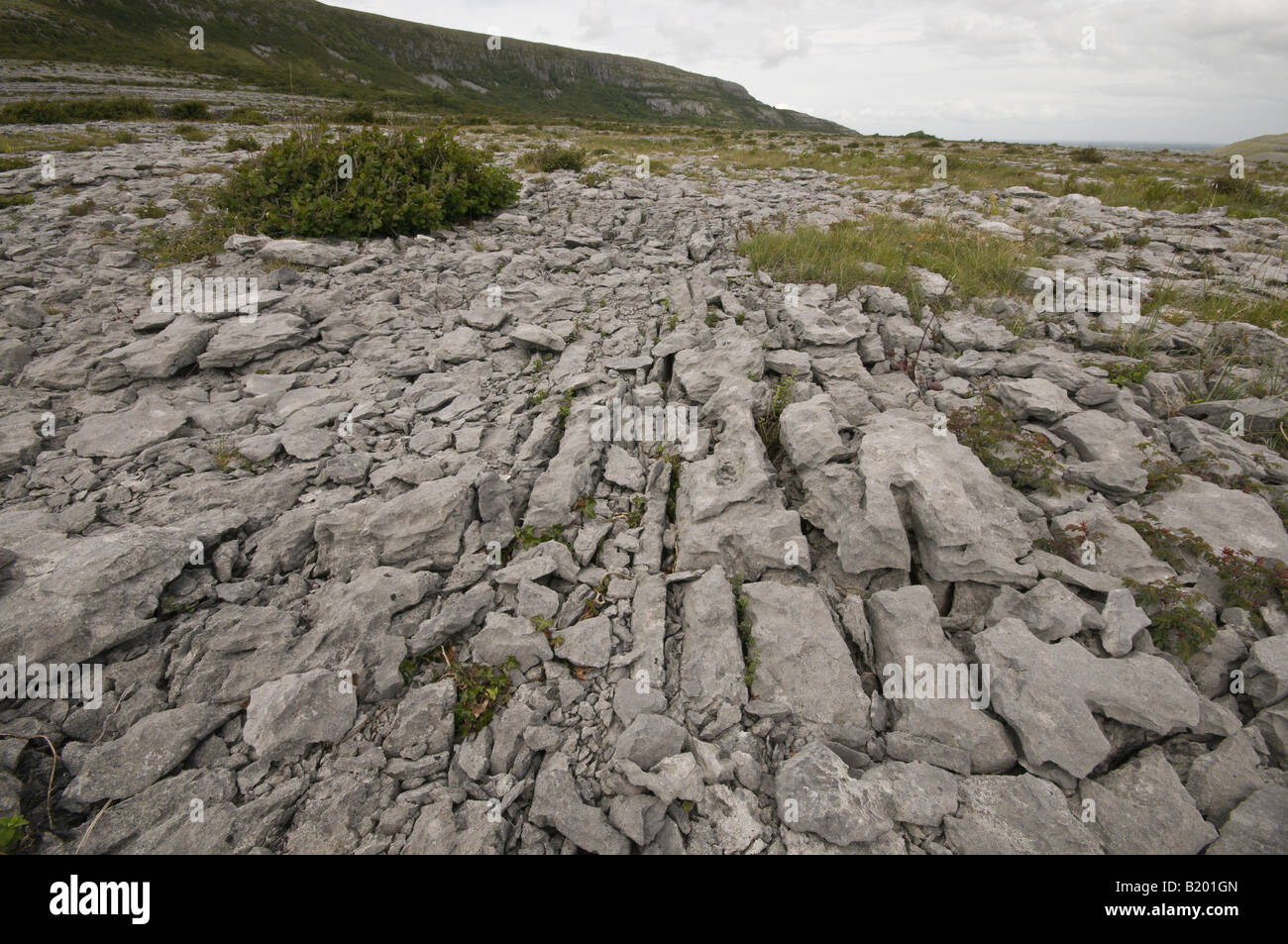 The Burren, County Clare, Ireland Stock Photo - Alamy
