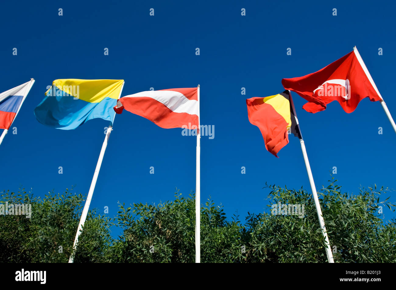 Flags of different european countries flying alongside the promenade in ...