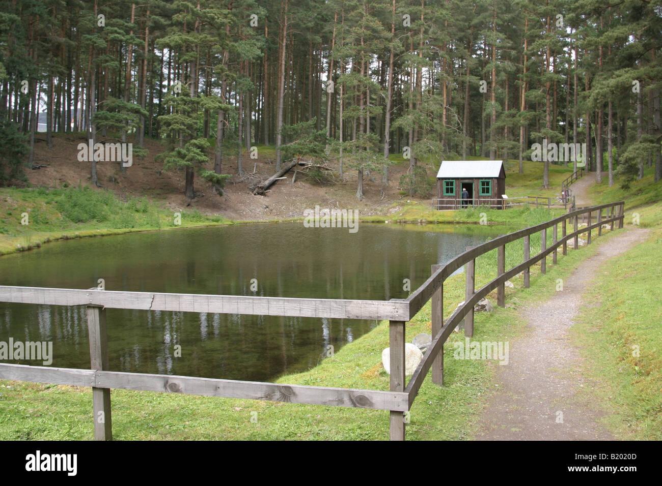 Curling pond hi-res stock photography and images - Alamy