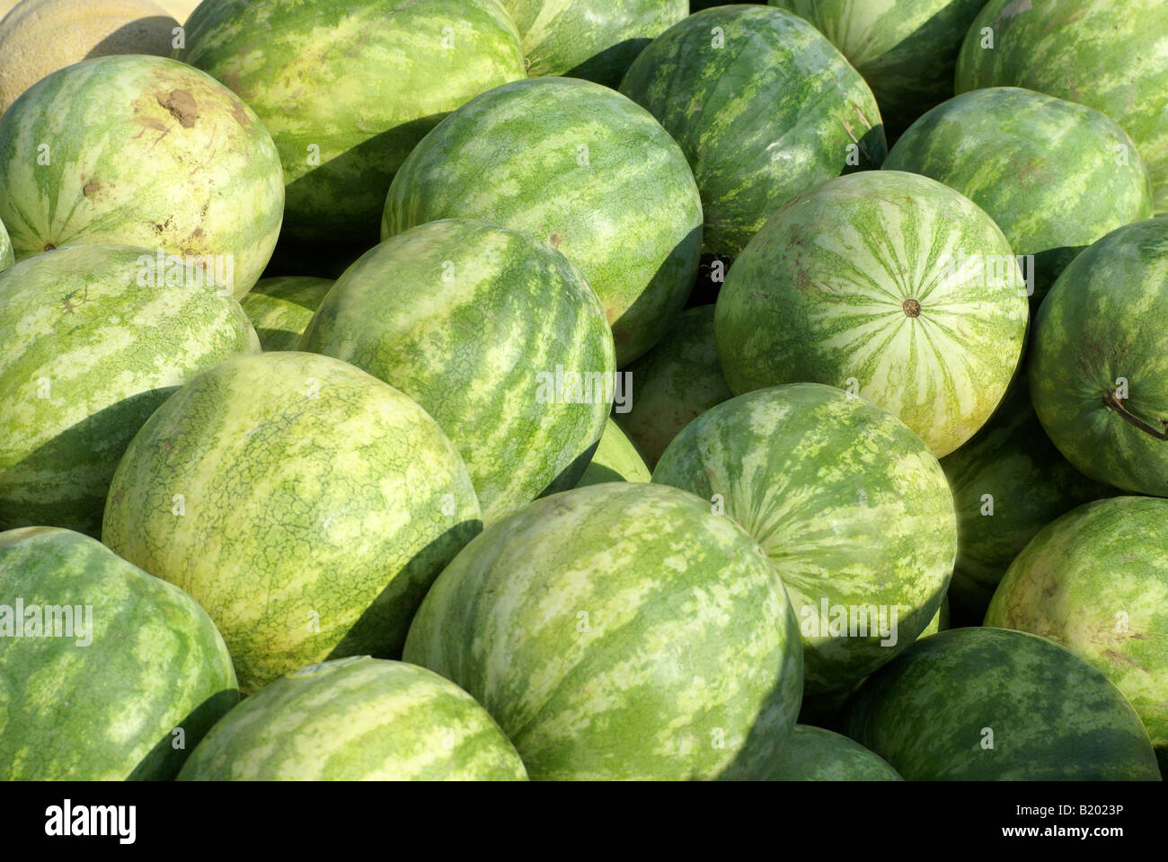 Large watermelons hi-res stock photography and images - Alamy