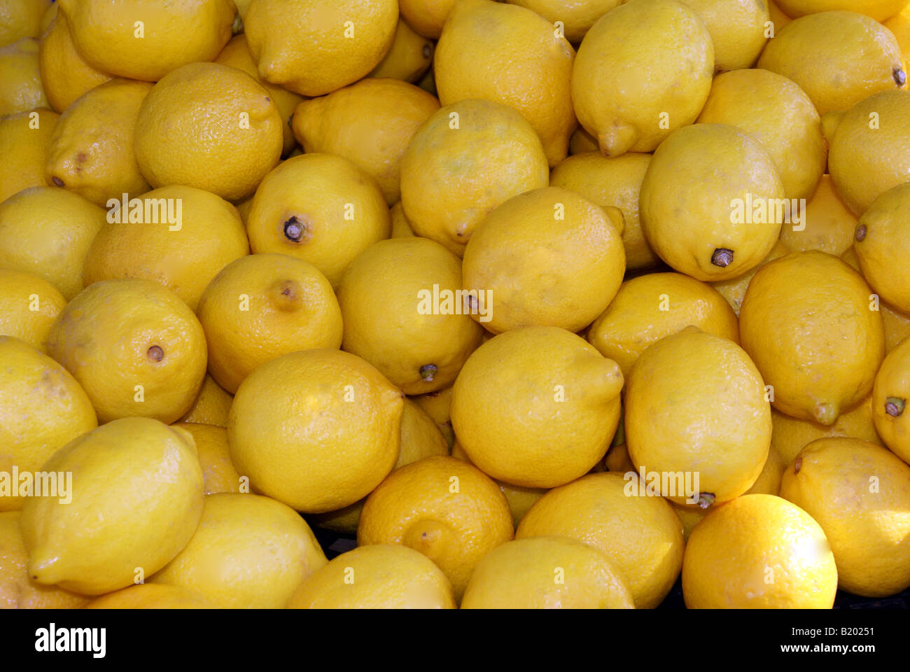 Top view bunch lemons hi-res stock photography and images - Alamy