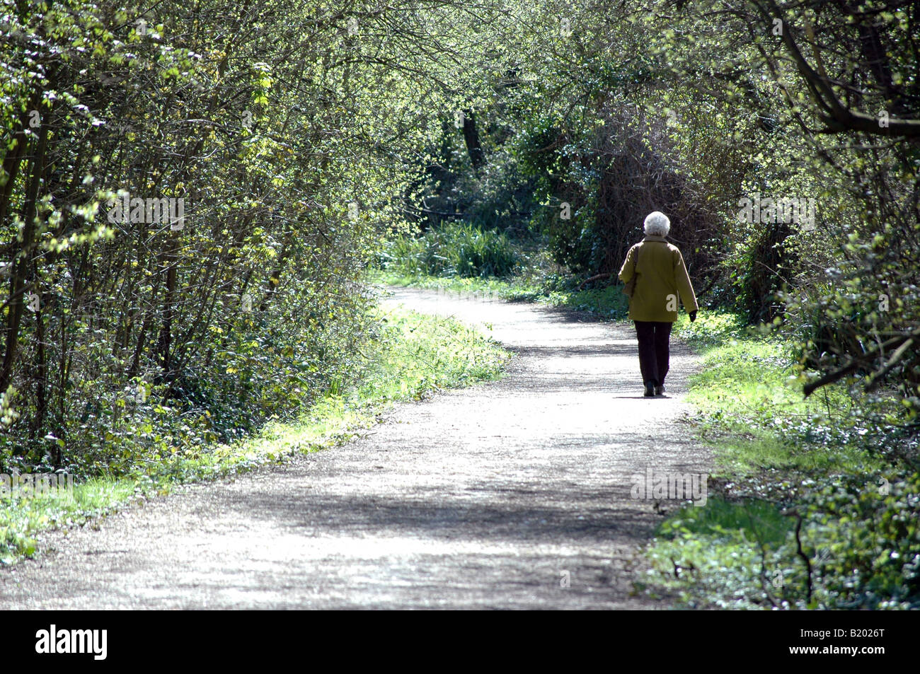 Royalty free photograph of old lady walking along country lane in ...