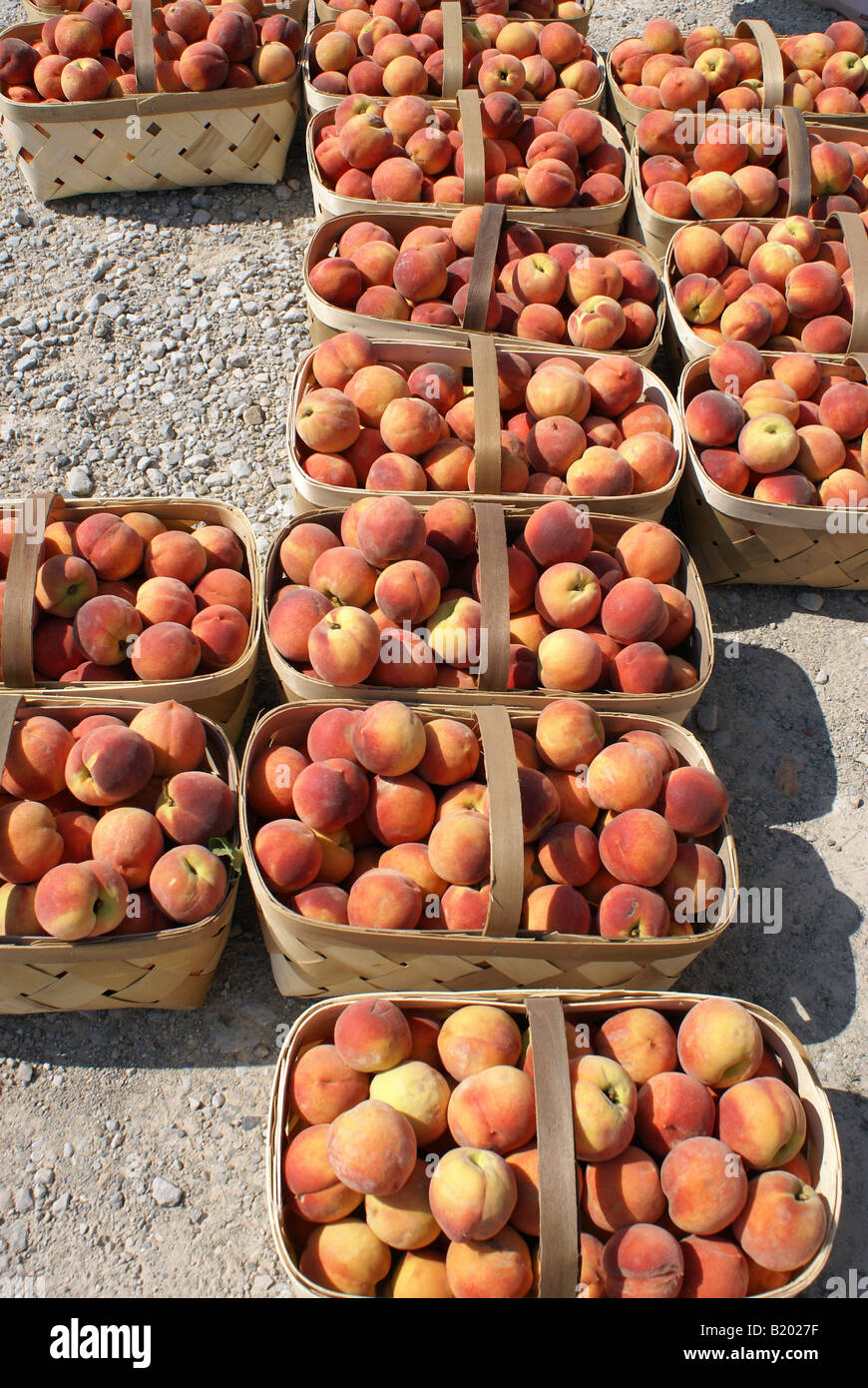 Agronomy unit hi-res stock photography and images - Alamy