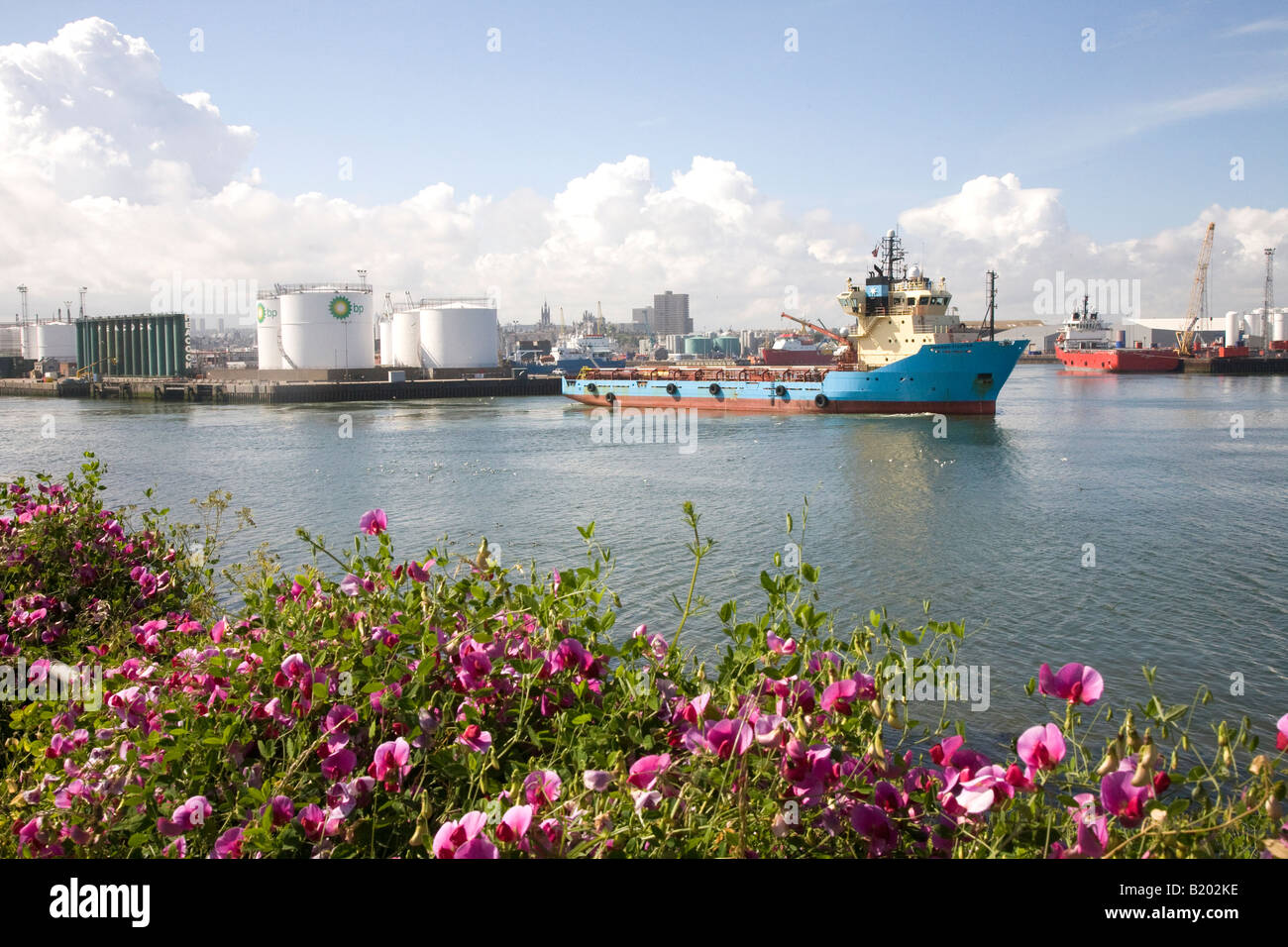 British petroleum oil rigs hi-res stock photography and images - Alamy
