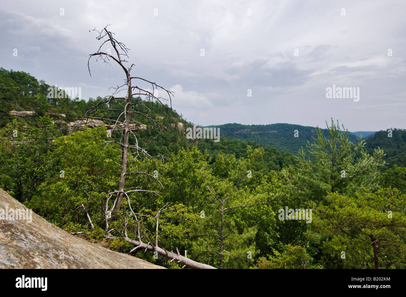 View of Red River Gorge from Indian Staircase Menifee County Kentucky ...