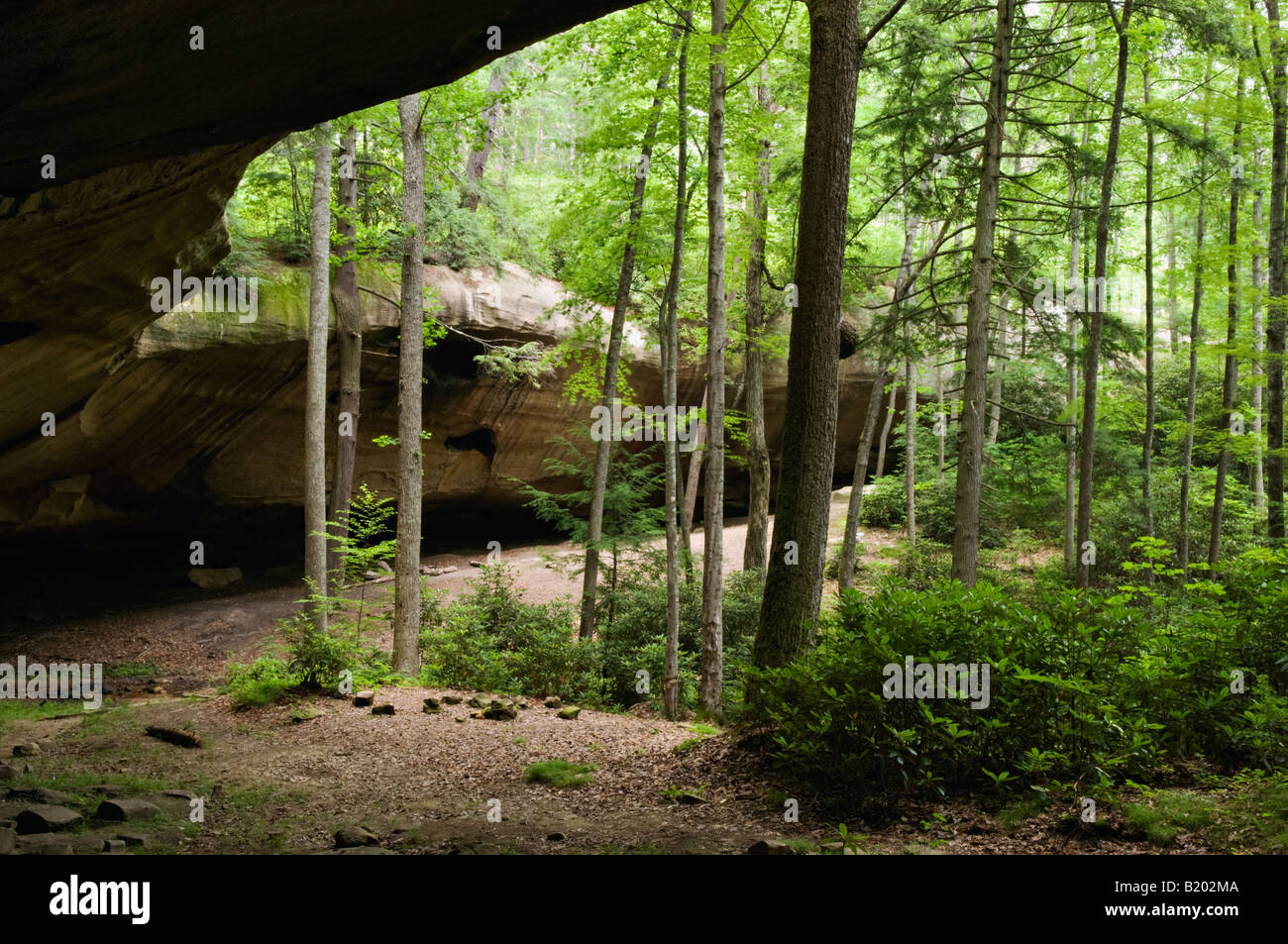 Council Chamber Rock House in Red River Gorge National Geological Area ...