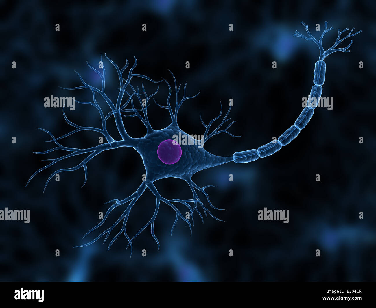 Nerve cell hi-res stock photography and images - Alamy
