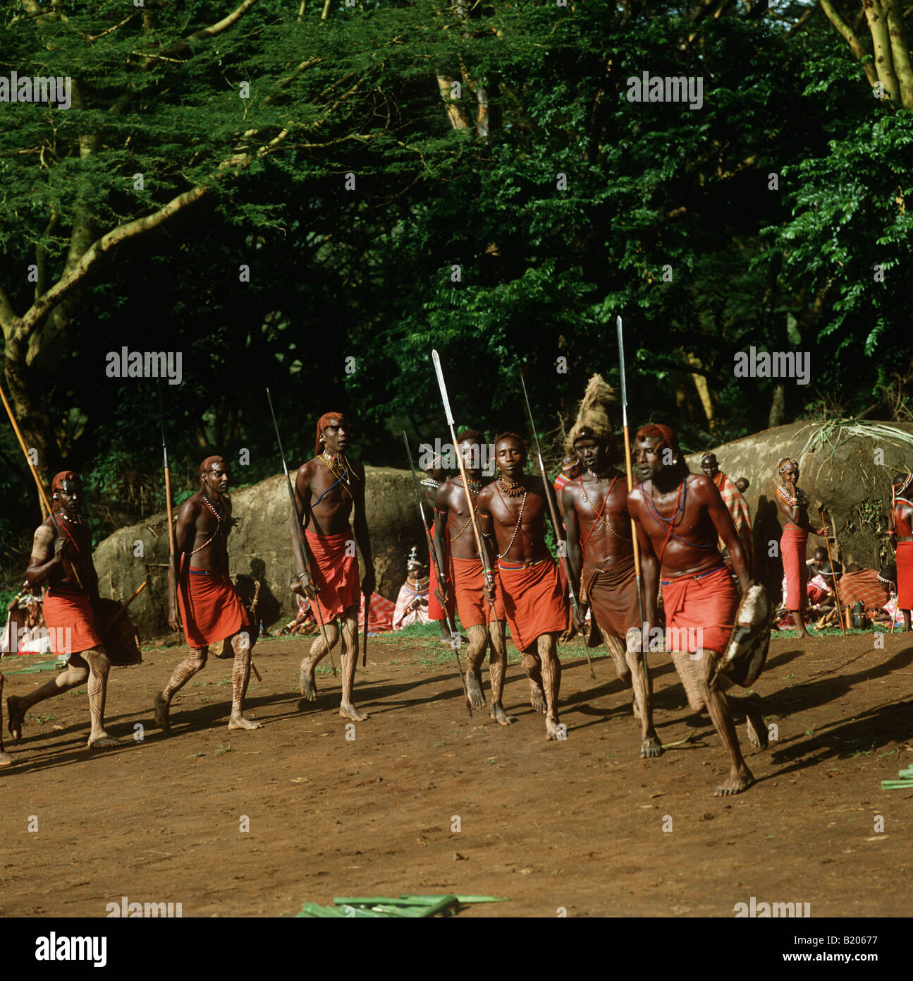 Kenya,AMasai tribe exercising its warriors.Boys and girls undergo ...