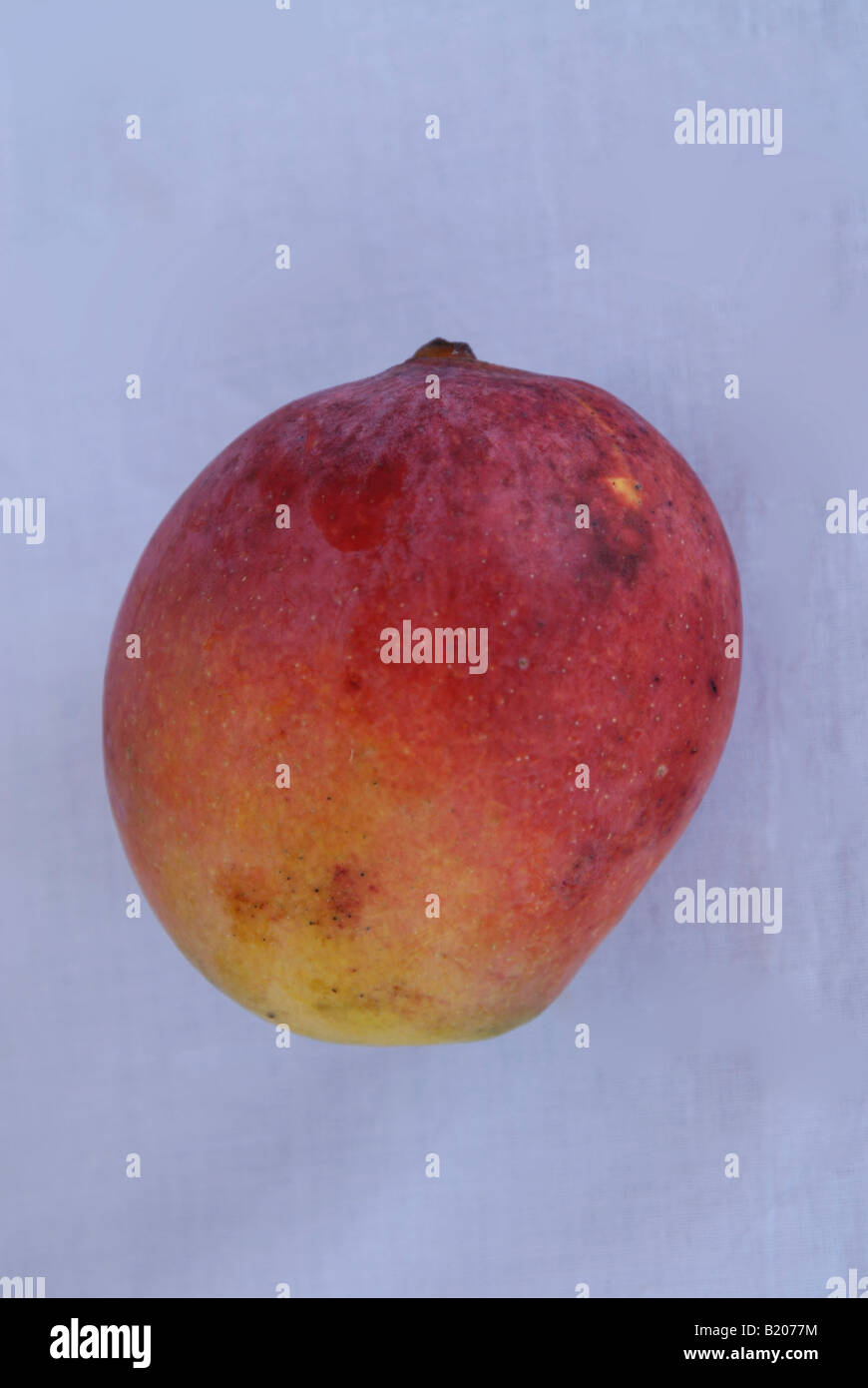 El de mango hi-res stock photography and images - Alamy