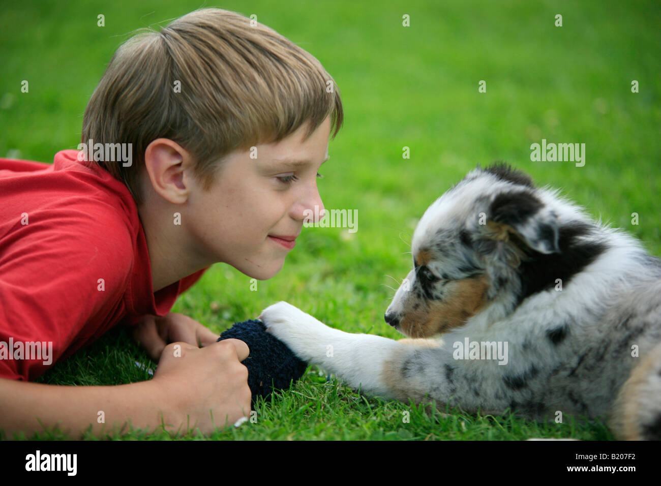 a young boy snuggling with his dog Stock Photo - Alamy