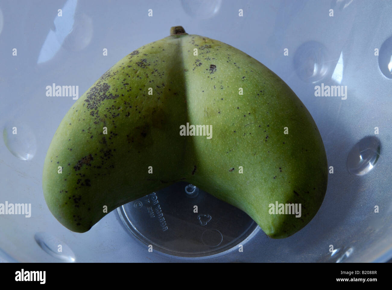 Twin mango hi-res stock photography and images - Alamy