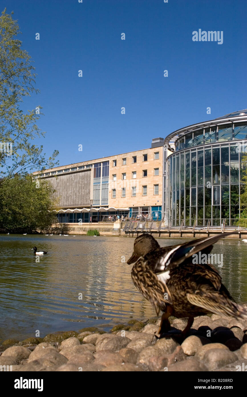 Ducks in Mowbray Park in Sunderland. The Winter Gardens and the ...