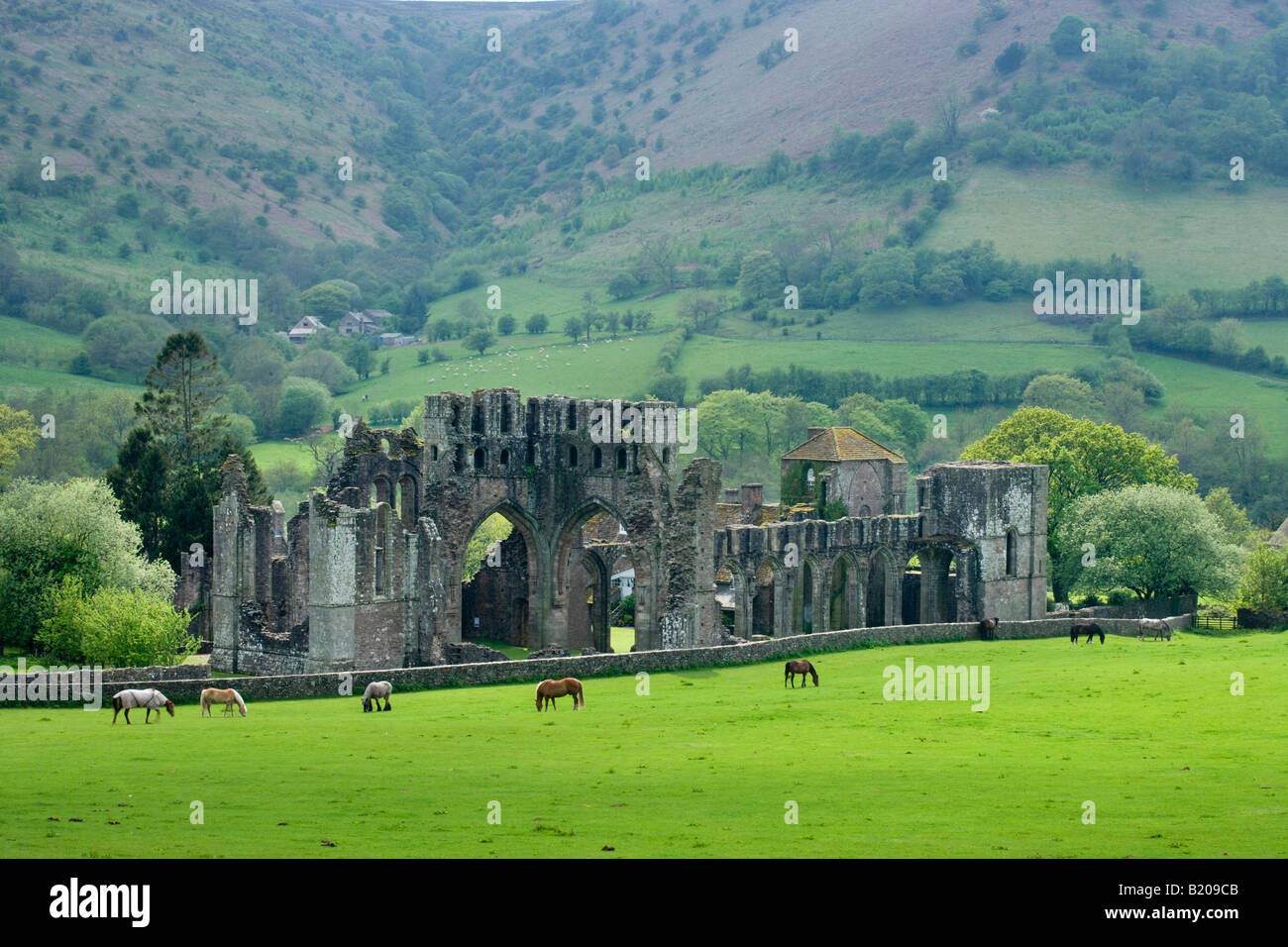 Llanthony abbey hi-res stock photography and images - Alamy