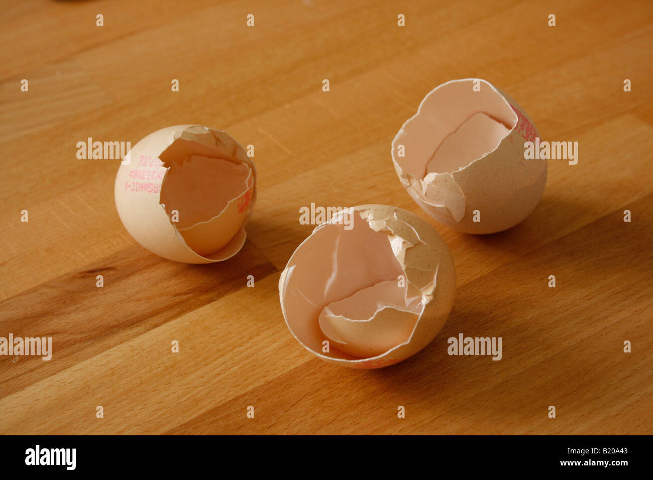 Egg Shells Waste High Resolution Stock Photography and Images - Alamy