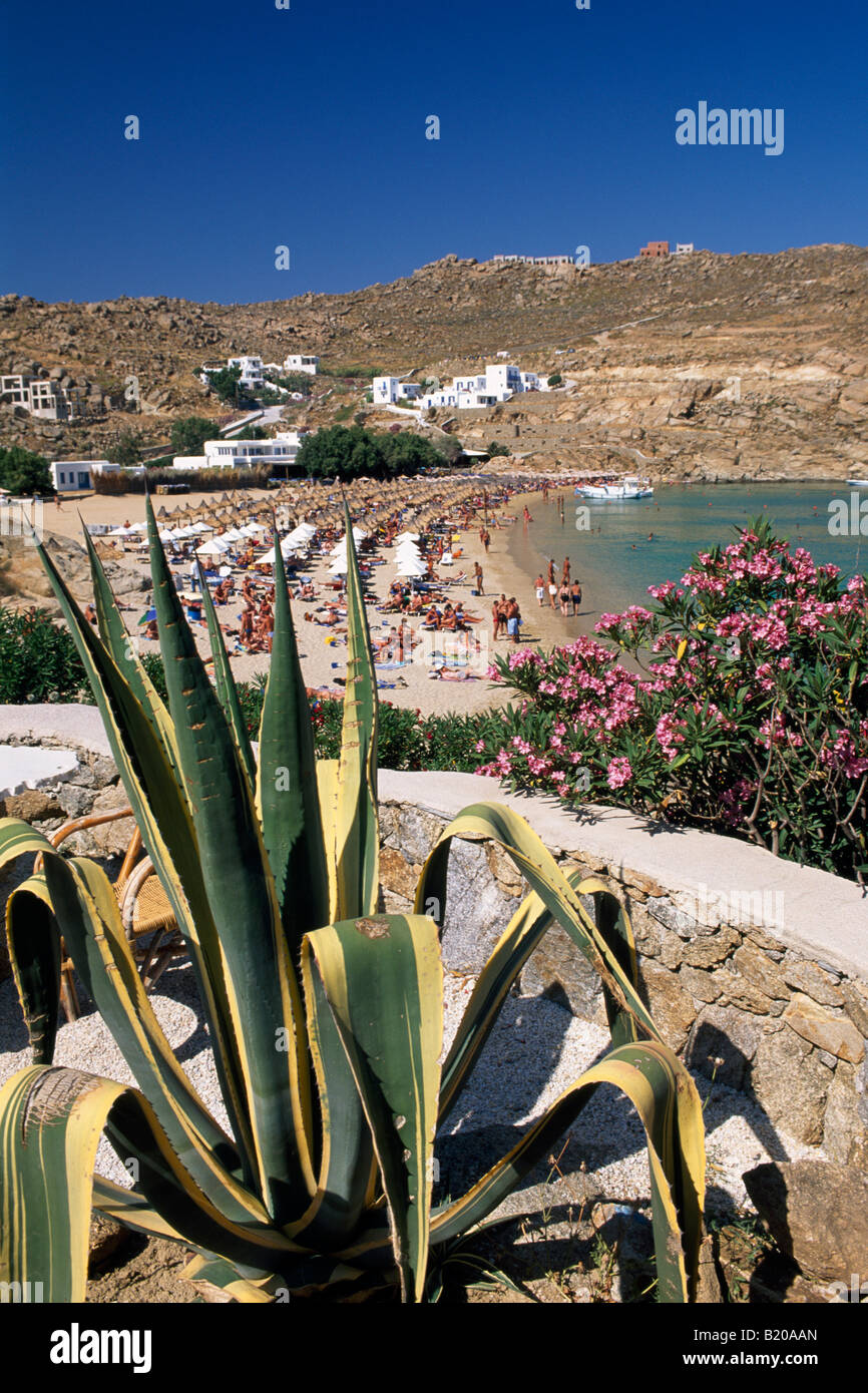 Super Paradise Beach Mykonos Island Cyclades Greece Stock Photo - Alamy