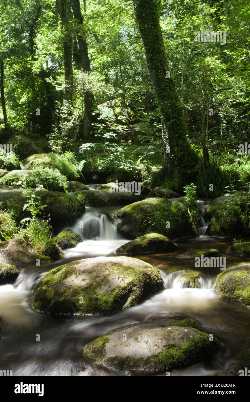 Forest waterfall cascading over granite rocks Stock Photo - Alamy