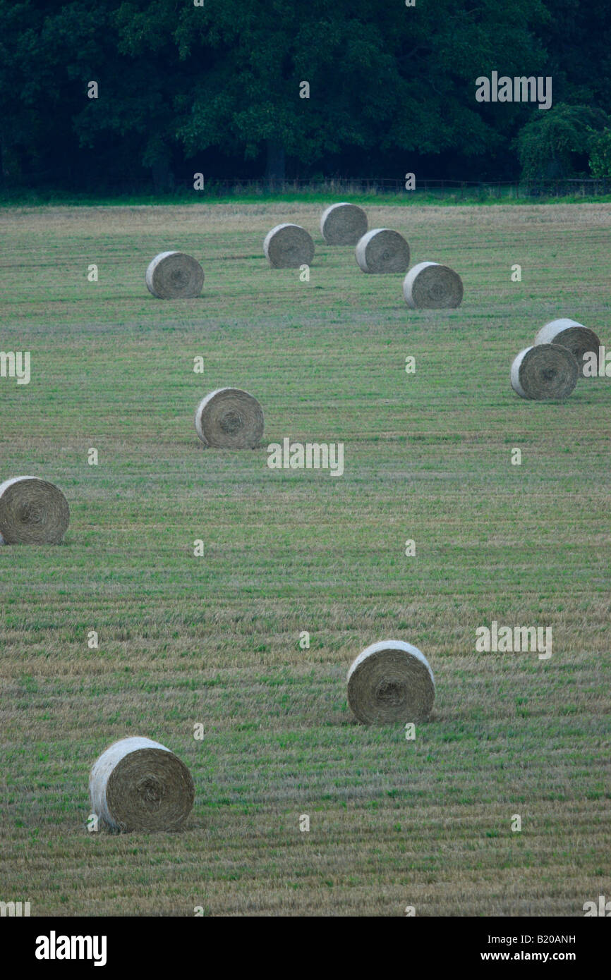 English countryside summer haymaking hi-res stock photography and ...