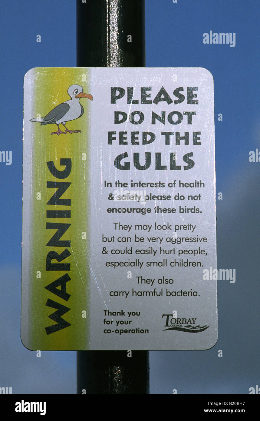 Anti seagull sign hi-res stock photography and images - Alamy