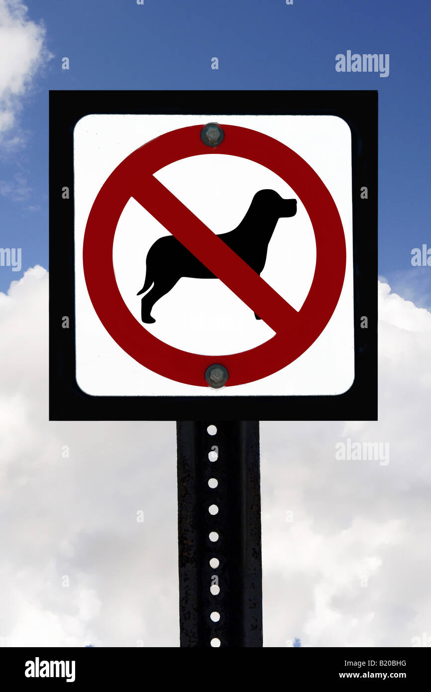 No Dogs signpost Stock Photo - Alamy