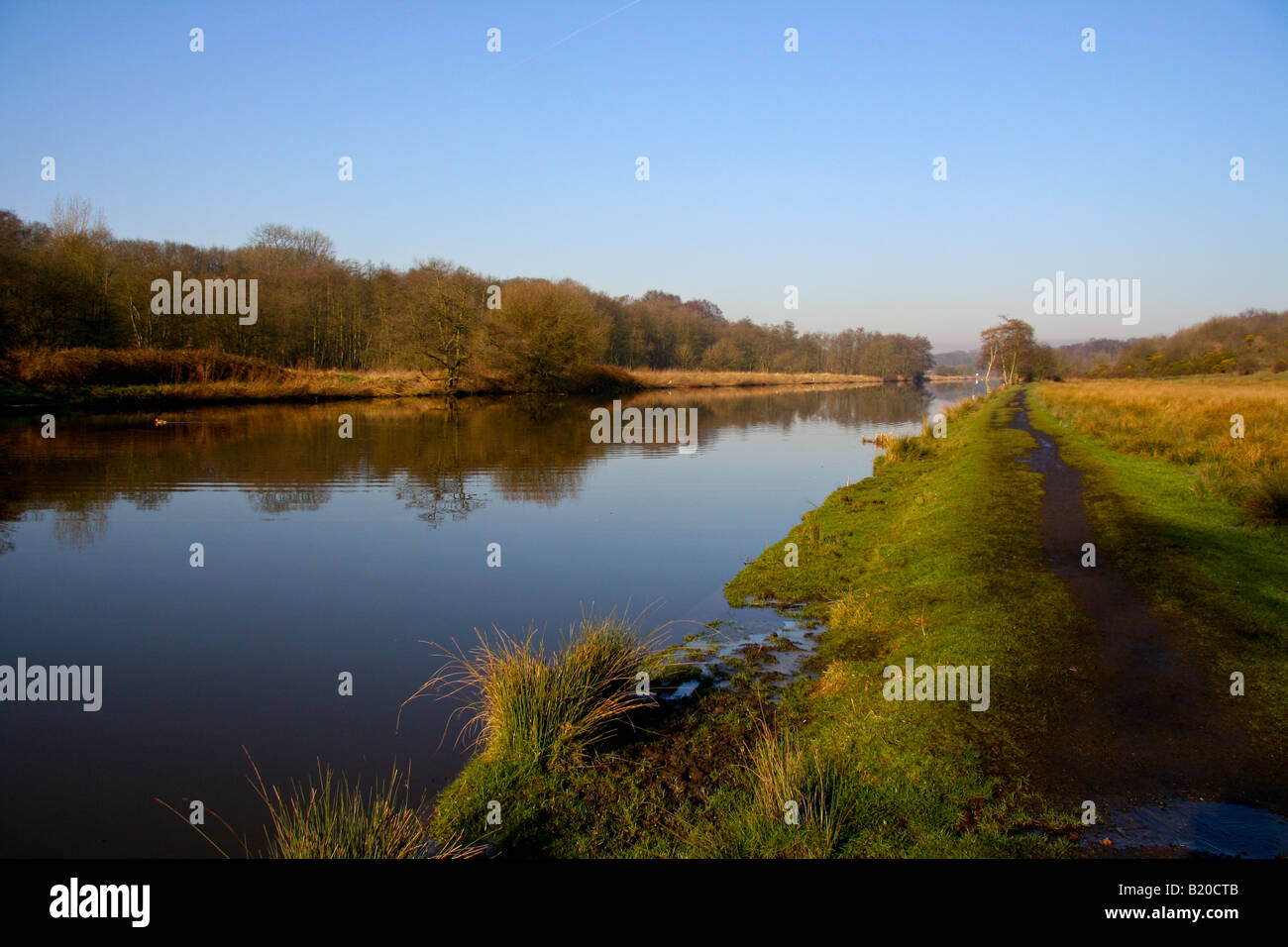 River weaver in Cheshire Stock Photo - Alamy