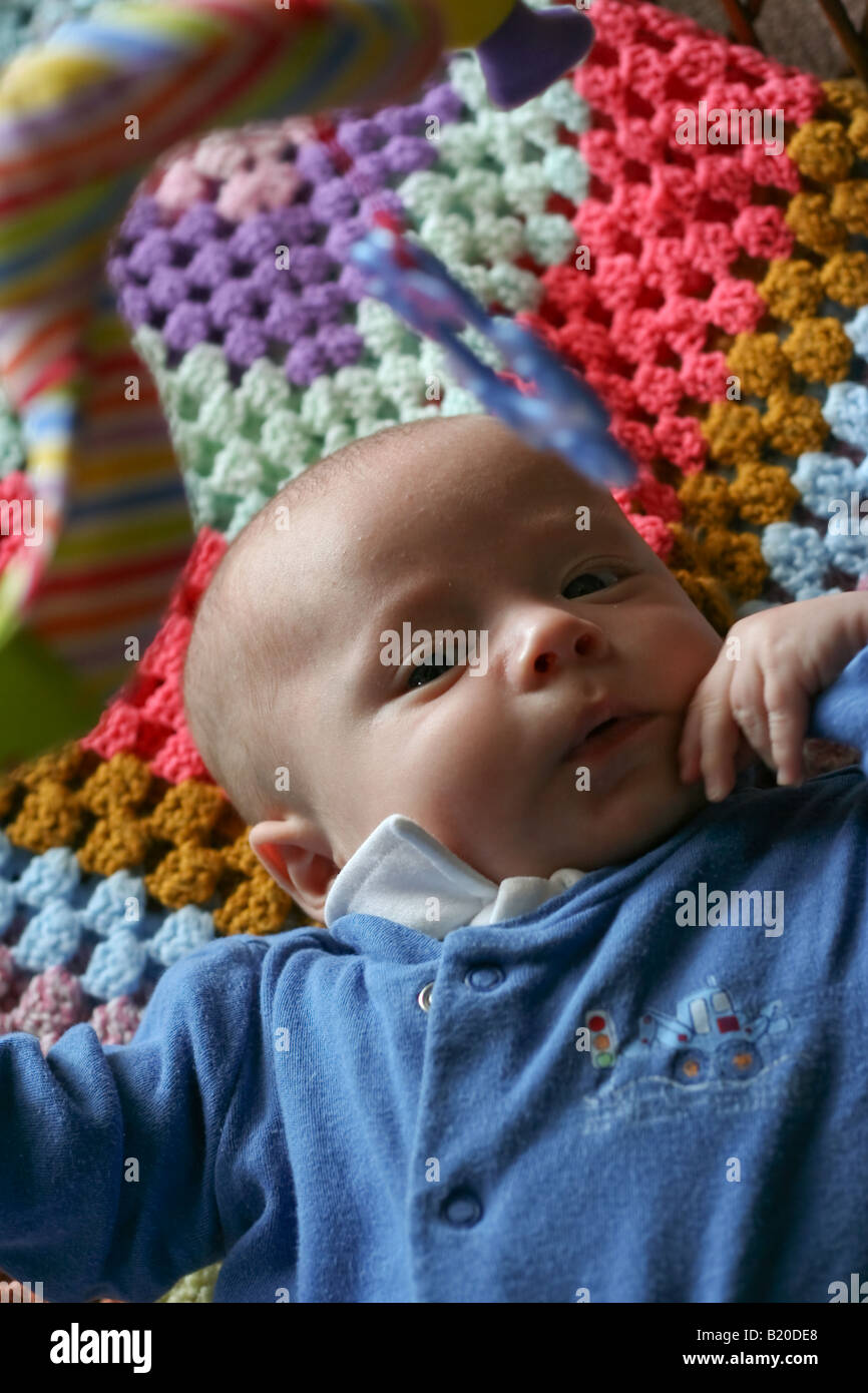 12 twelve weeks old hi-res stock photography and images - Alamy