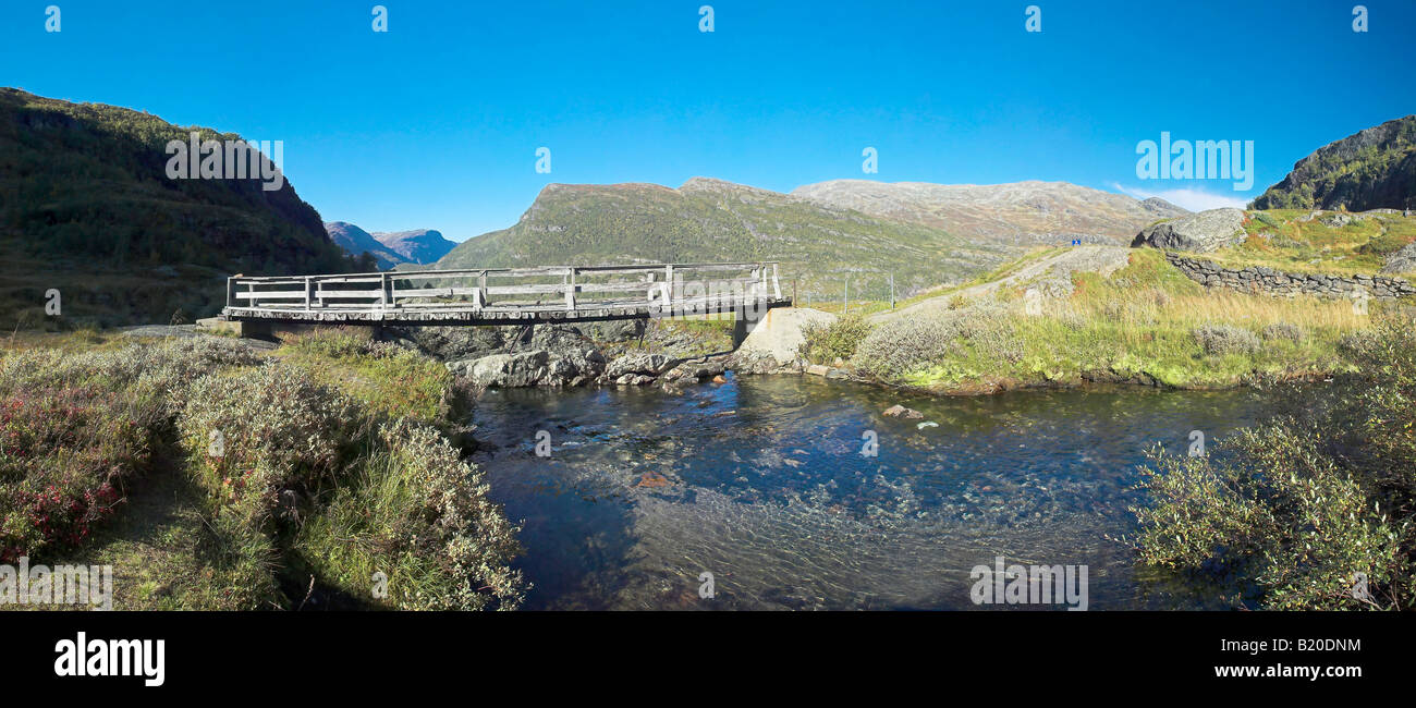 Wooden bridge on walk between Myrdal and Flam, Sognefjord, Norway Stock ...