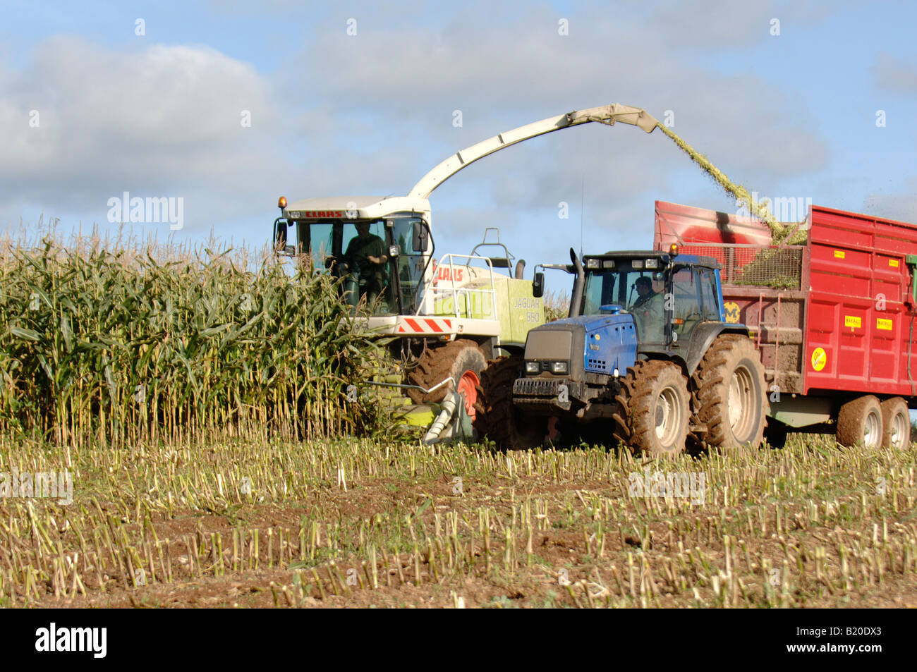 Farming devon farmer on hi-res stock photography and images - Alamy