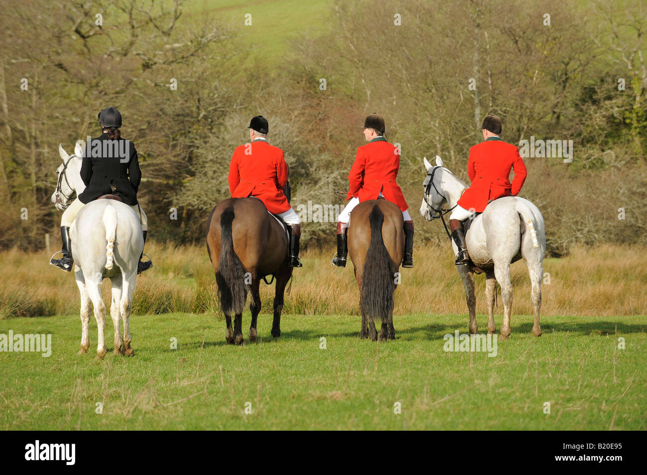 fox hunting whips and masters at covert side Stock Photo - Alamy