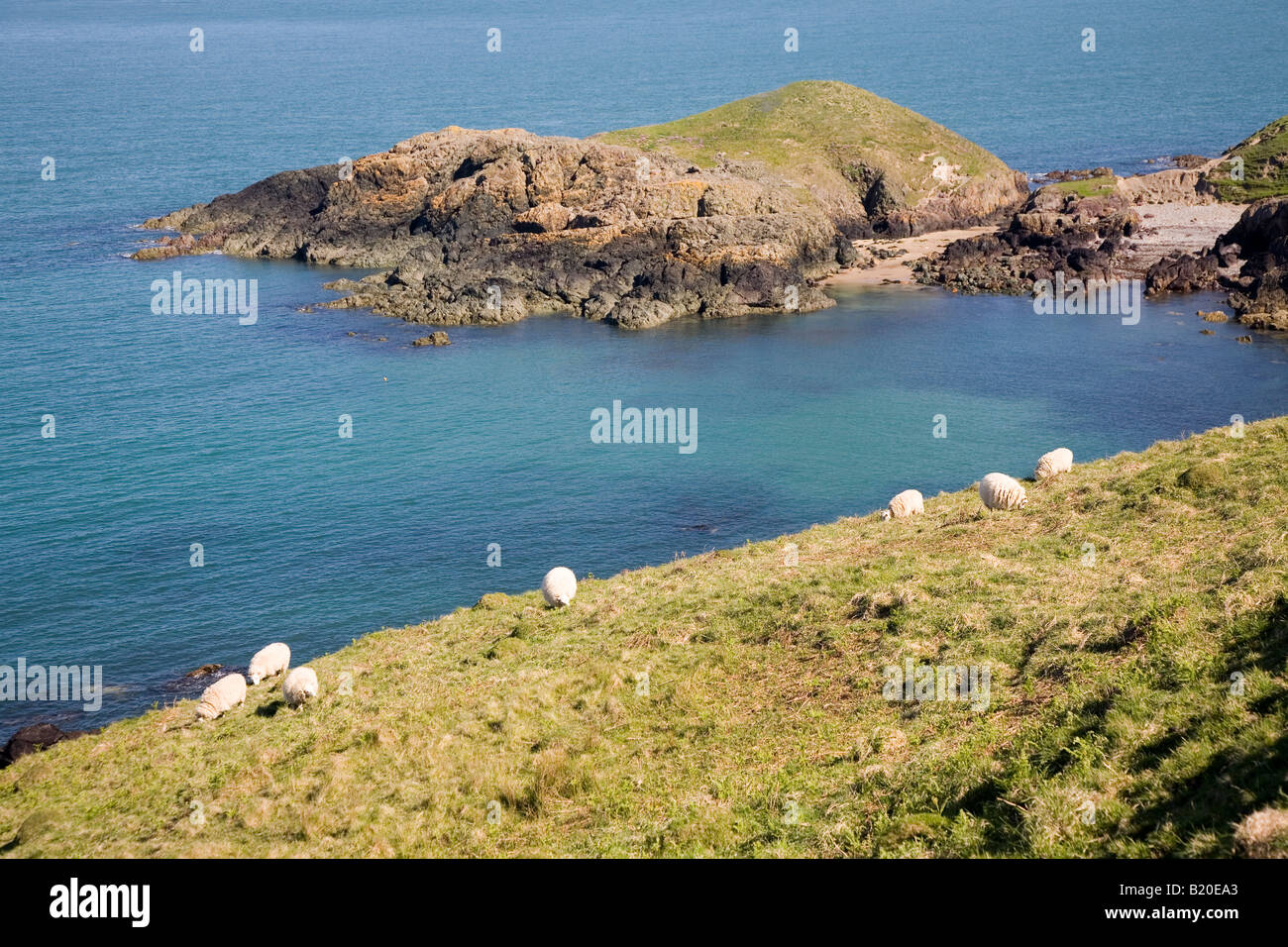 Edge of Wales coastal walk from Carrog Farm to Bryn Swynog Stock Photo ...