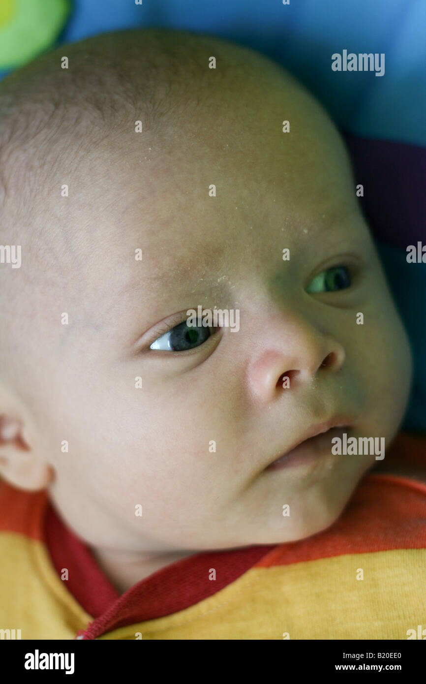 Fat baby boy hi-res stock photography and images - Alamy