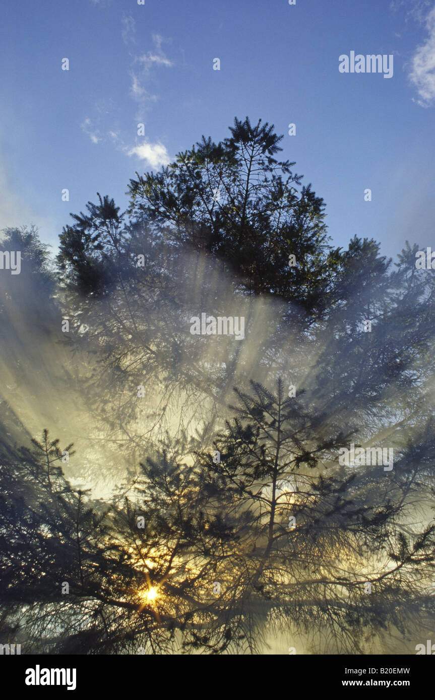Drifting Smoke at Sunset Stock Photo - Alamy
