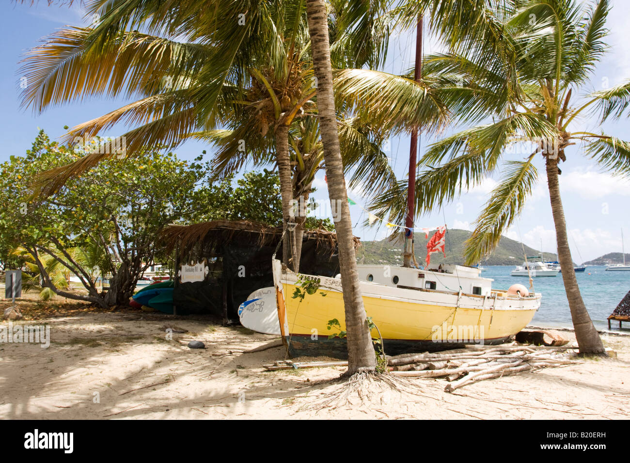 old wooden boat under tropical palm trees Stock Photo - Alamy