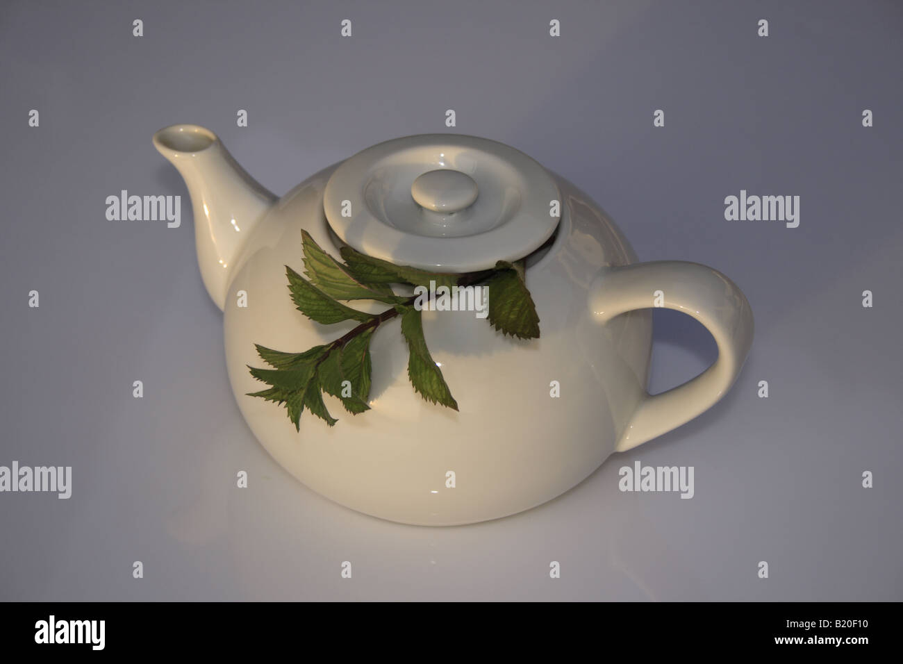 Closeup fresh mints leaves hi-res stock photography and images - Alamy