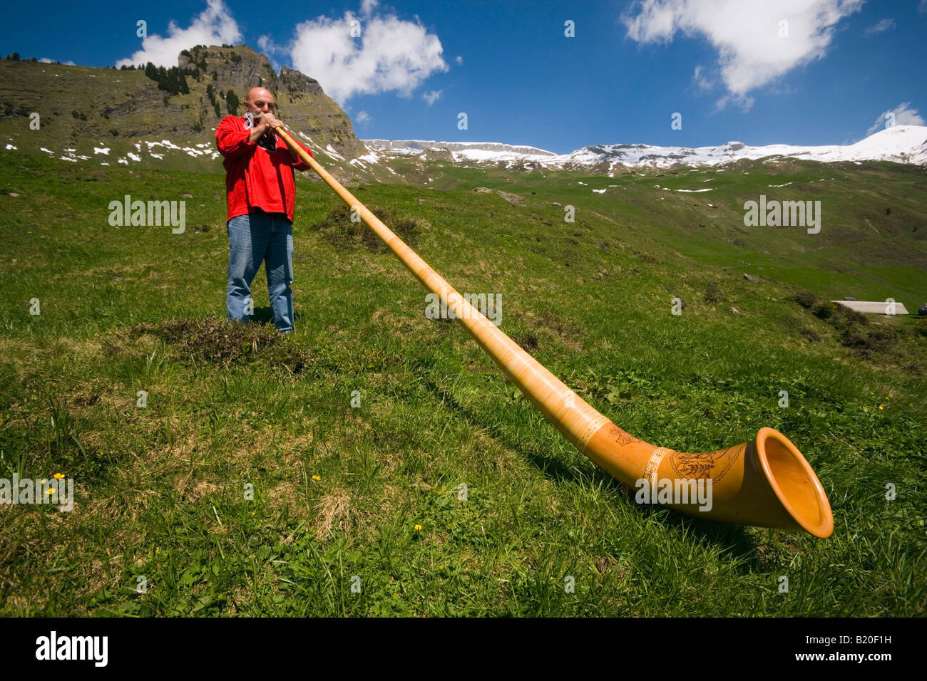 Man playing a alphorn at Bussalp 1800 m Grindelwald Bernese Oberland ...