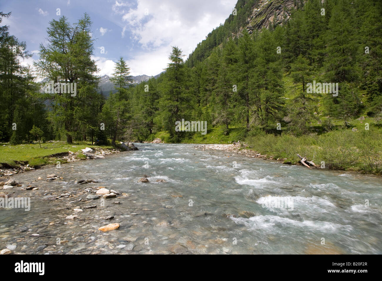 Austria, Tyrol, St. Jakob in Defrregen, the small river Schwarzach ...