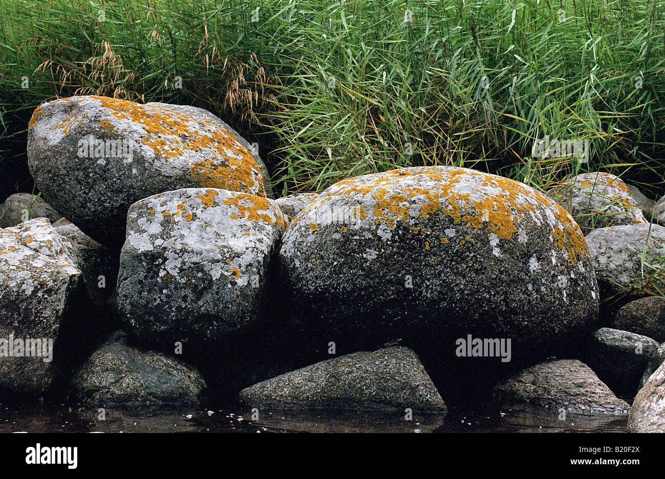 Stones on a river bank Stock Photo - Alamy