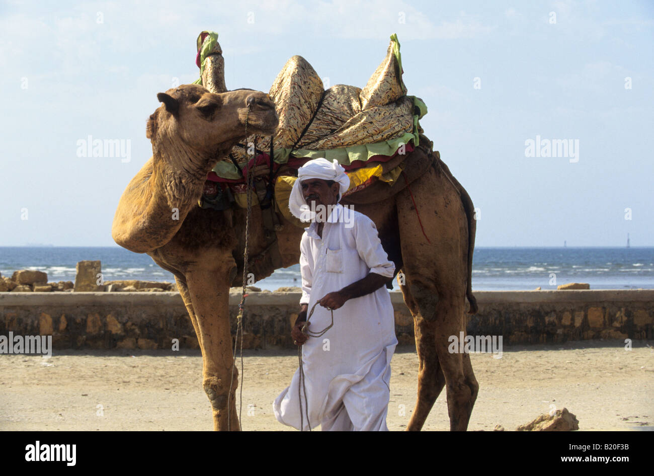 A camel owner offering beach rides waits along the Karachi Pakistan ...