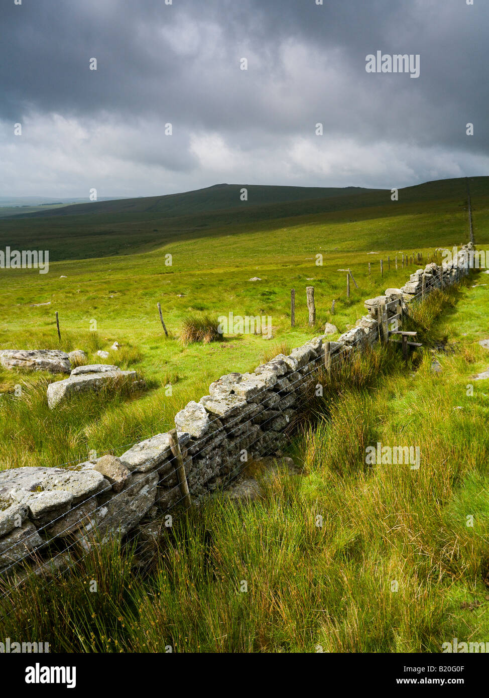 View of Lower and Higher White Tor showing boundary stone wall Dartmoor ...