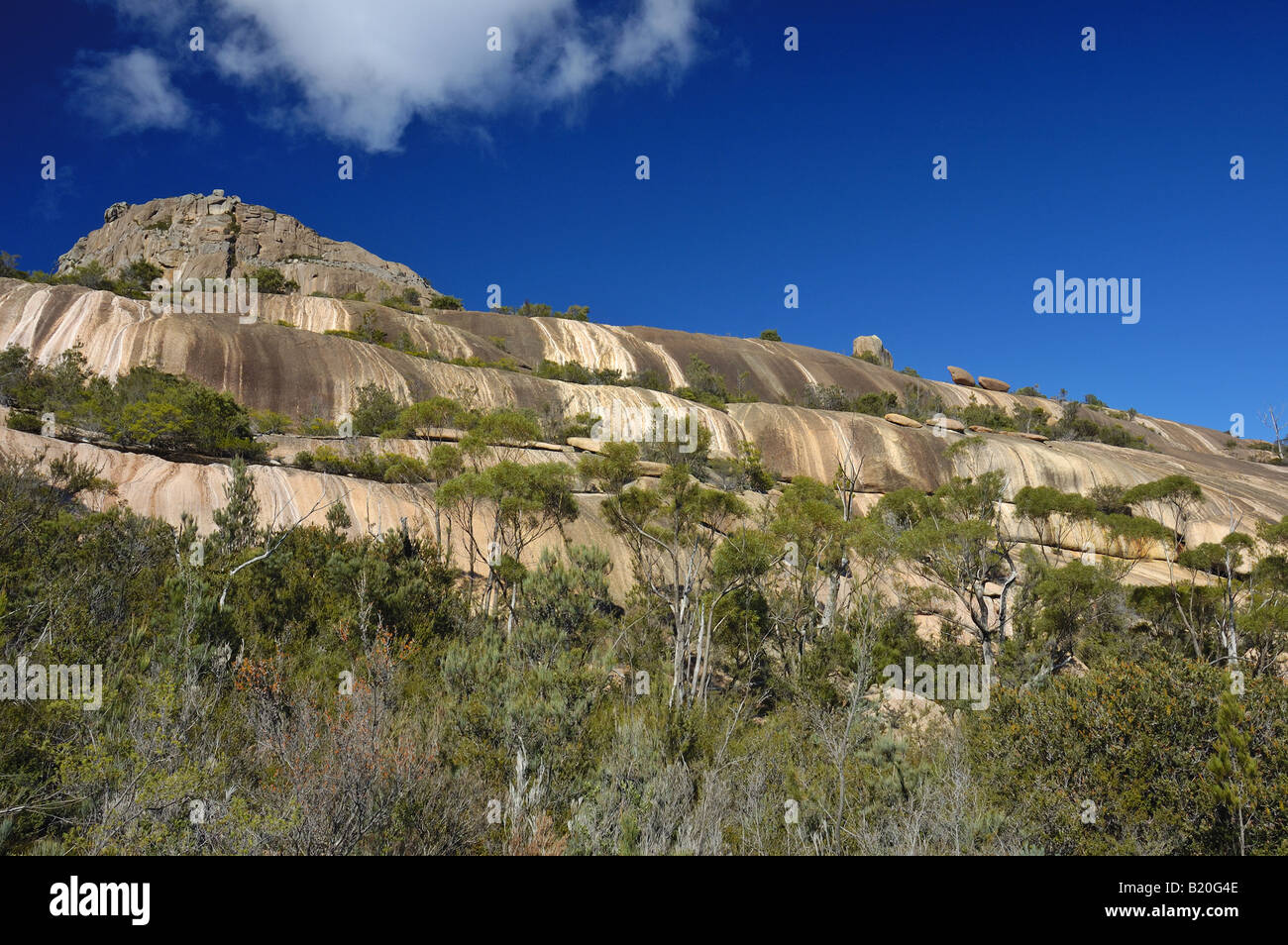 Loking up Mount Amos, Tasmania Stock Photo - Alamy