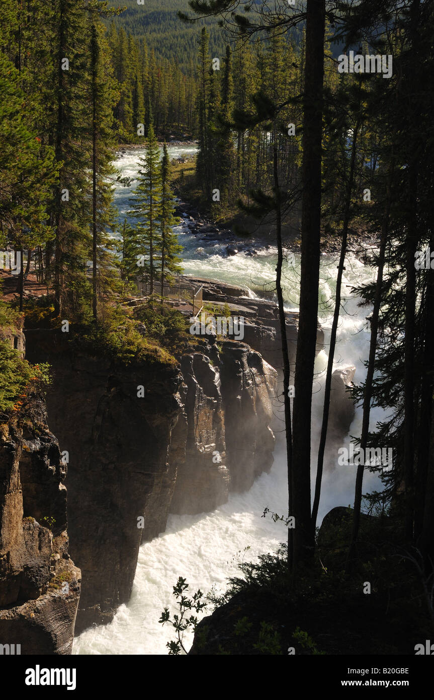 Sunwapta Falls 10 Stock Photo - Alamy