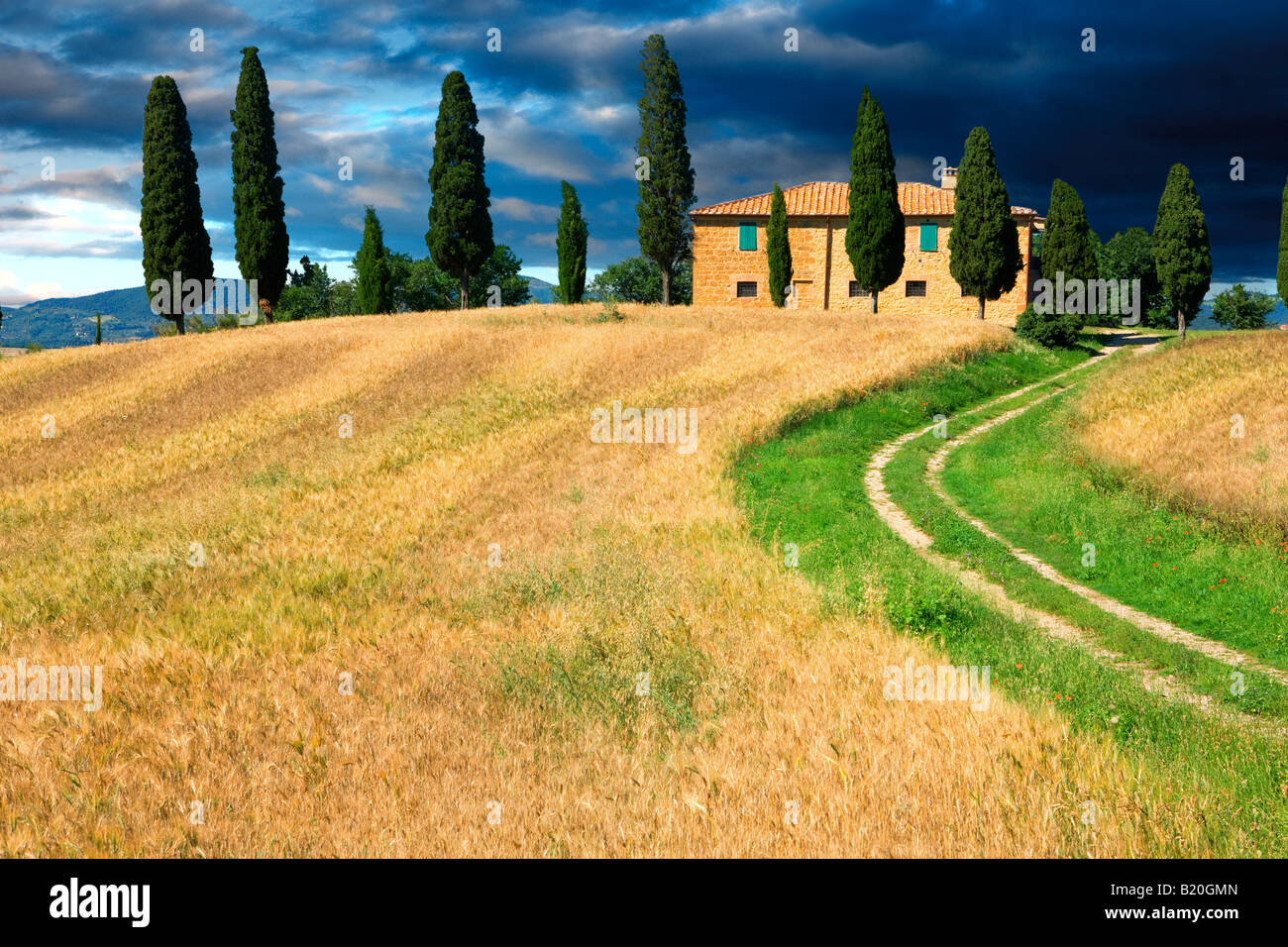 Farm field path hi-res stock photography and images - Alamy
