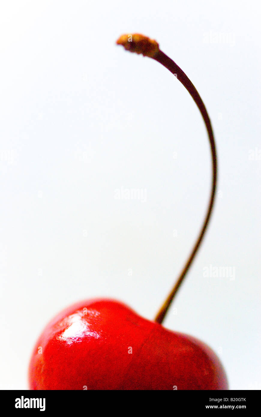 ripe cherry and stalk extreme close up Stock Photo - Alamy