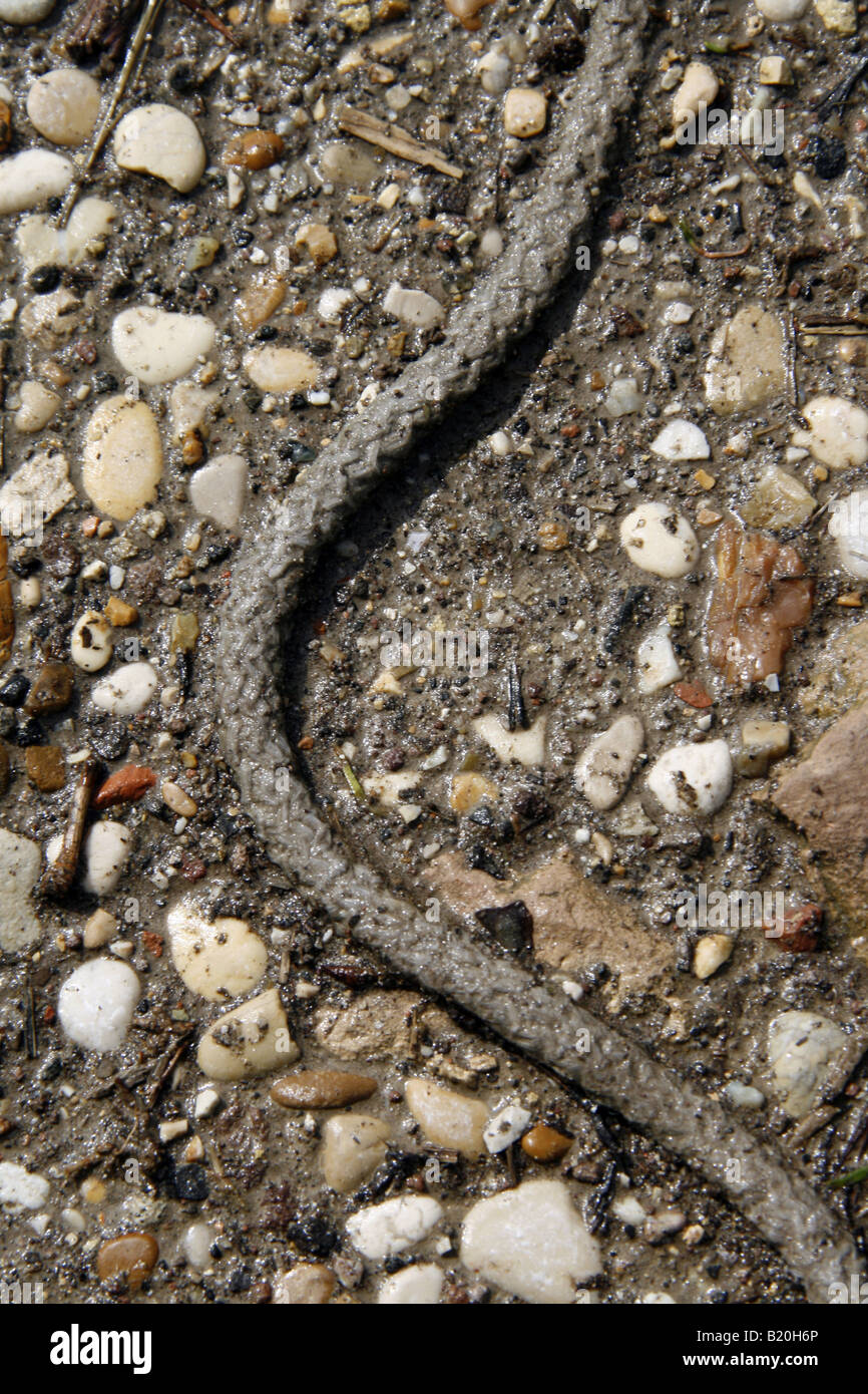 Stuck crush hi-res stock photography and images - Alamy