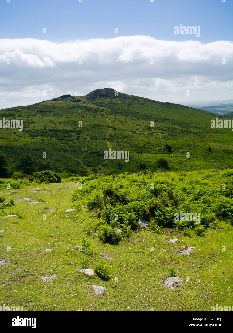 View of Sharp Tor in Dartmoor Devon UK Stock Photo - Alamy