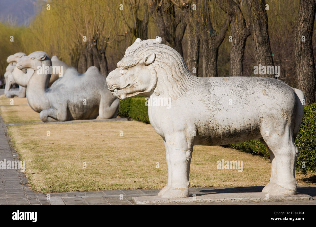 Statue of a standing Xiezi mythical Chinese Unicorn on Spirit Way at ...