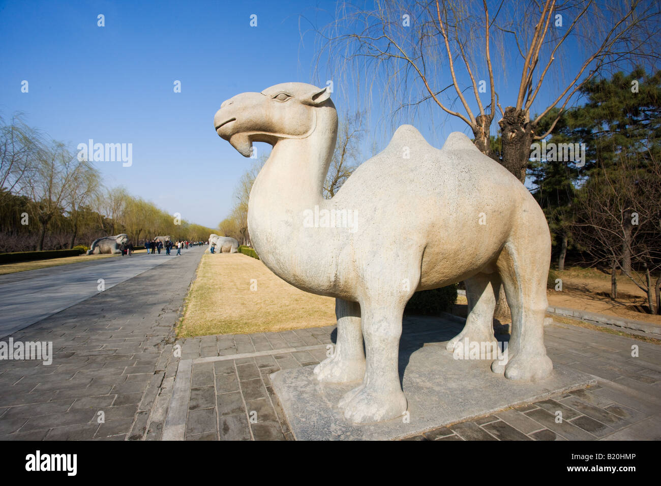 Statue of a stading camel Spirit Way Ming Tombs Beijing Peking China ...