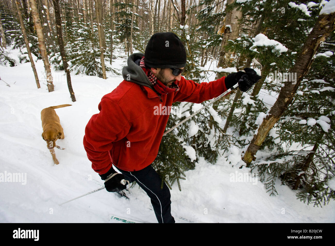 Catamount trail hi-res stock photography and images - Alamy