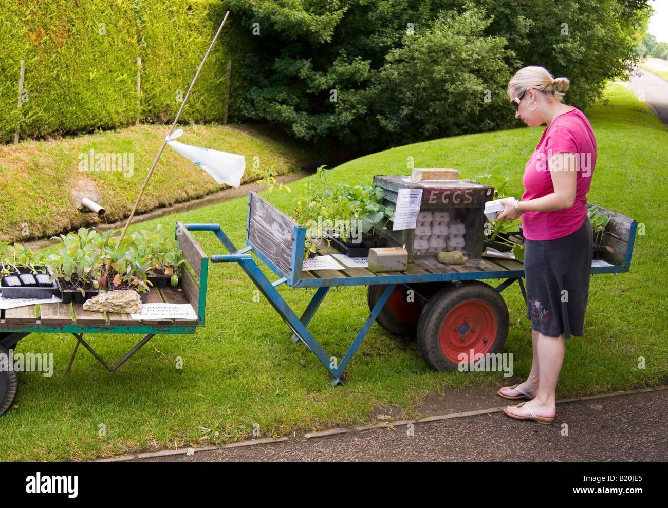 Woman Buying Eggs From Roadside Stall Stock Photo - Alamy